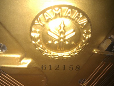 Yamaha Piano Serial No? Amazing Selection of Yamaha Piano for You to ...